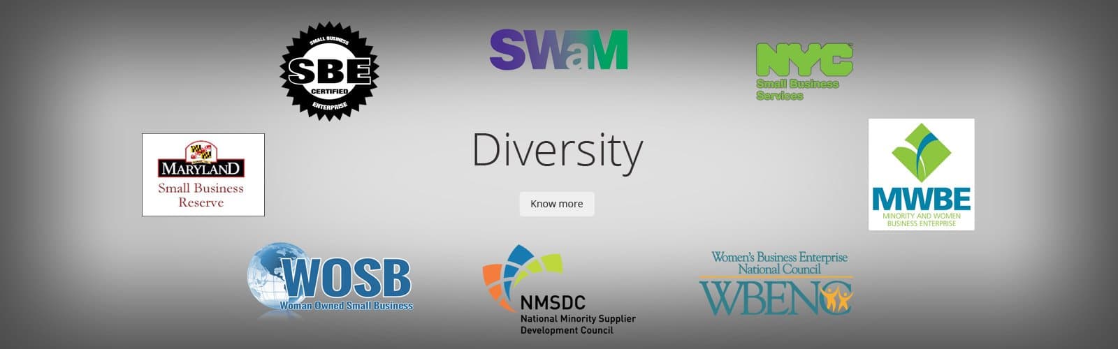 Homepage | V Group Inc.